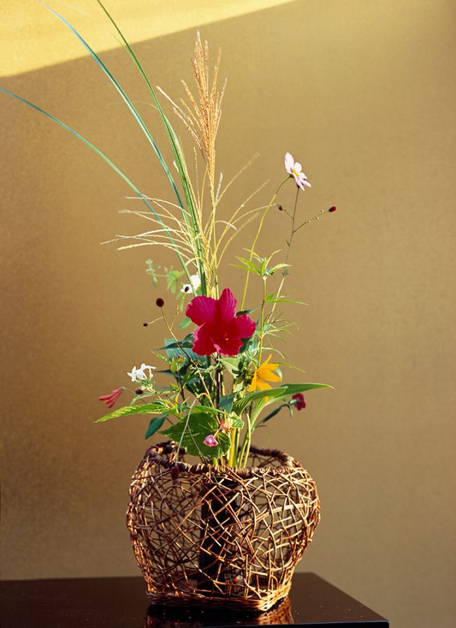 Chabana and wagashi - Flavio Gallozzi photographer Japan